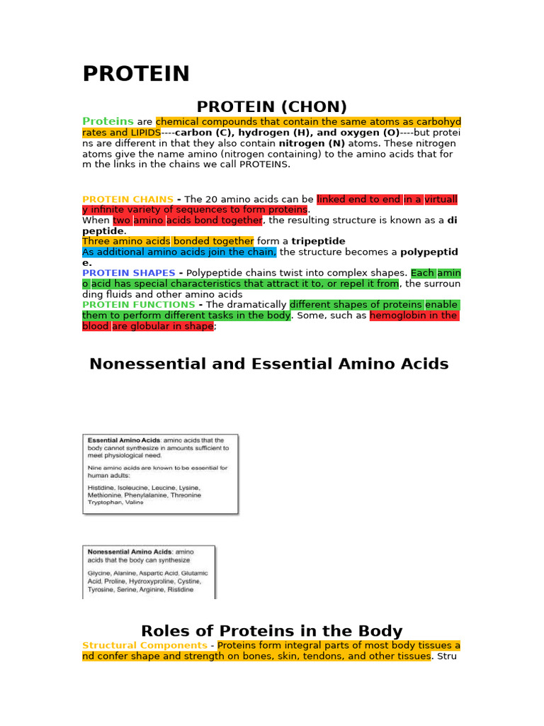 PROTEIN | PDF