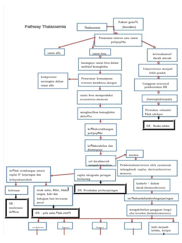 PDF Pathway Thalassemia Compress | PDF
