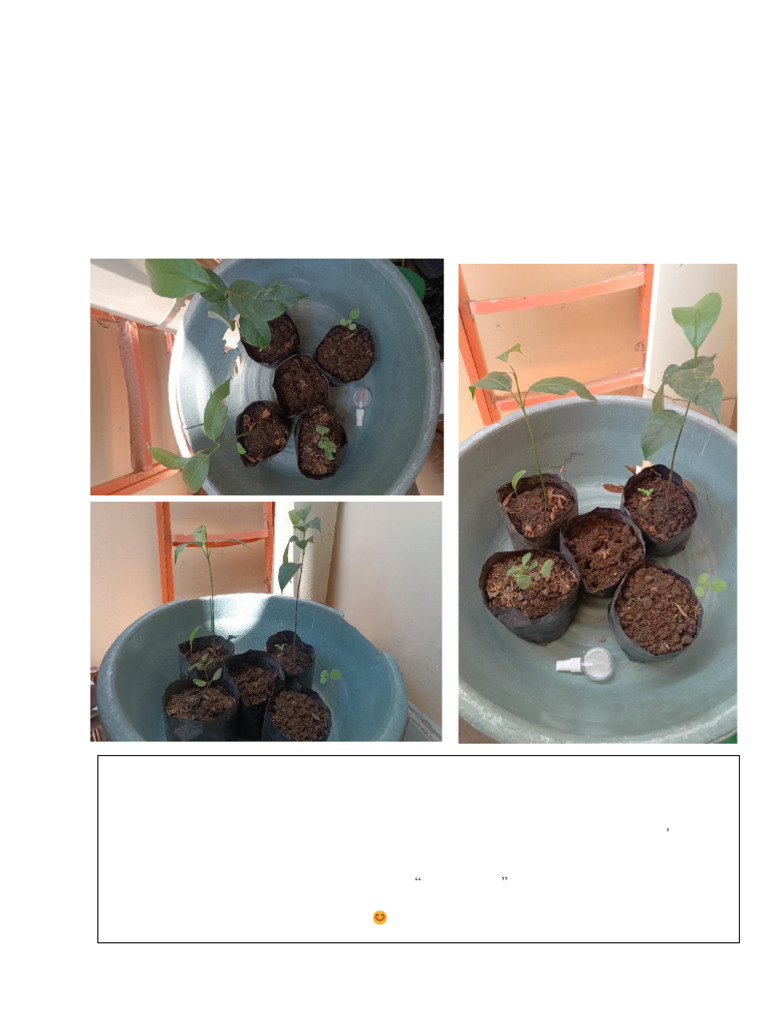 Weekly Journal 1 | PDF