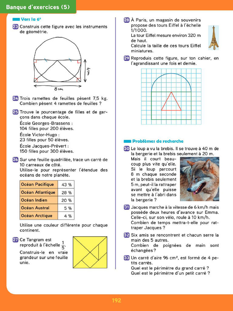 Pour Comprendre Les Maths CM2 | PDF