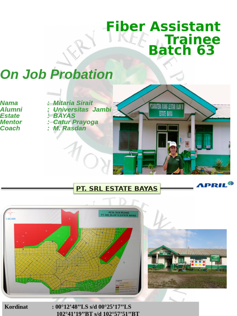 On Job Probation | PDF