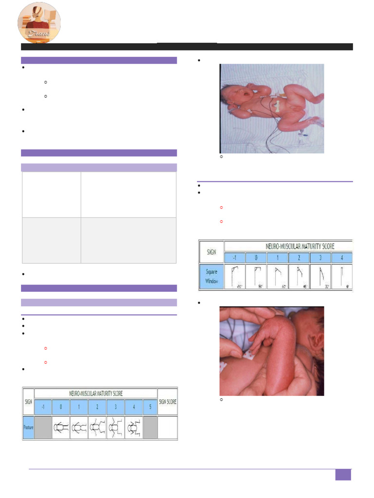 MD2024 Pedia Ballard Scoring | PDF