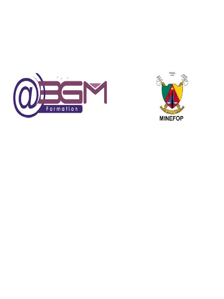 Logo Minefop Et Bgm | PDF