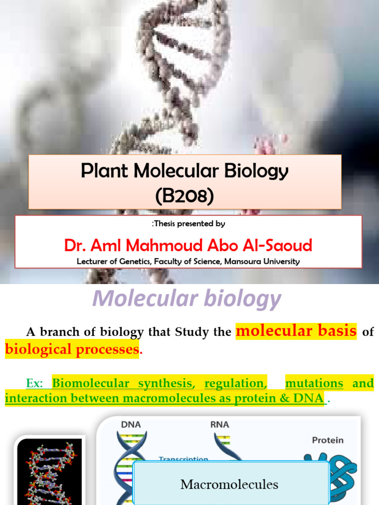 lecture 1 introduction-molecular biology | PDF