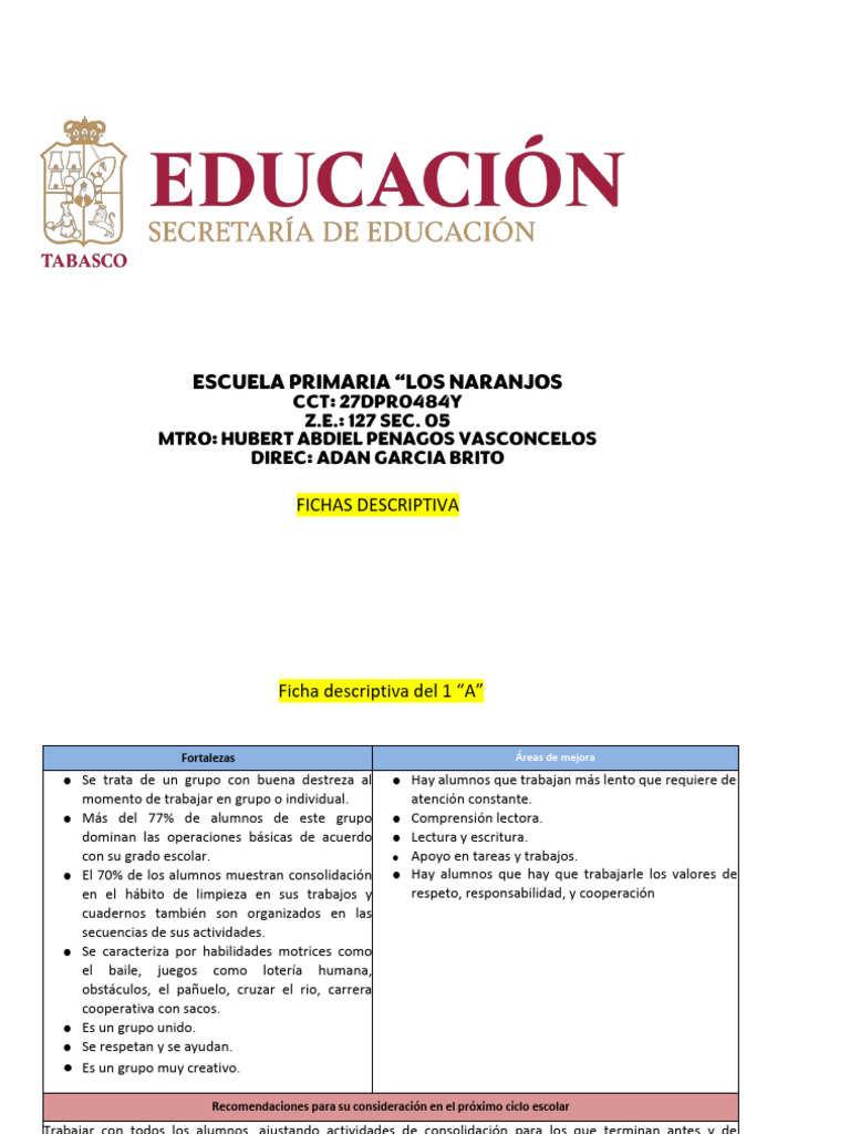 Fichas Descriptivas 1ero | PDF