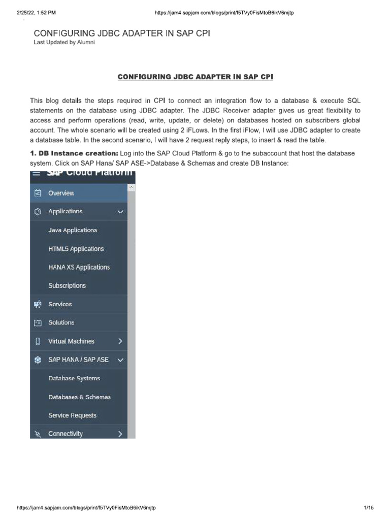 JDBC Sap Cpi | PDF