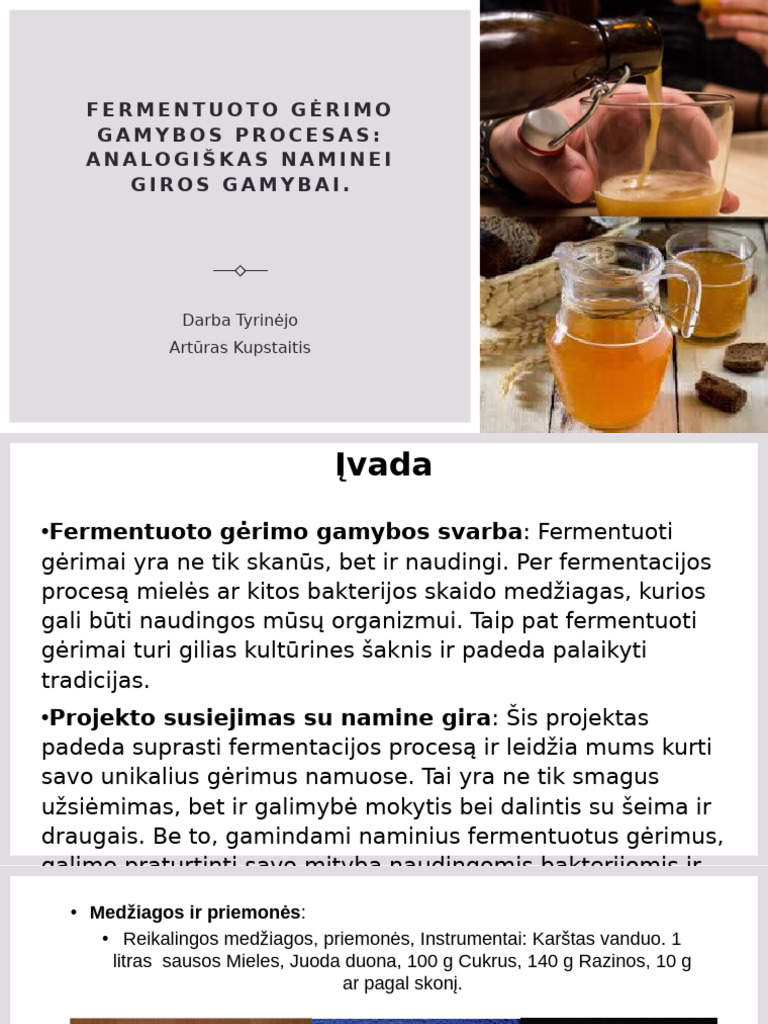 Fermentuotas Gerimas | PDF