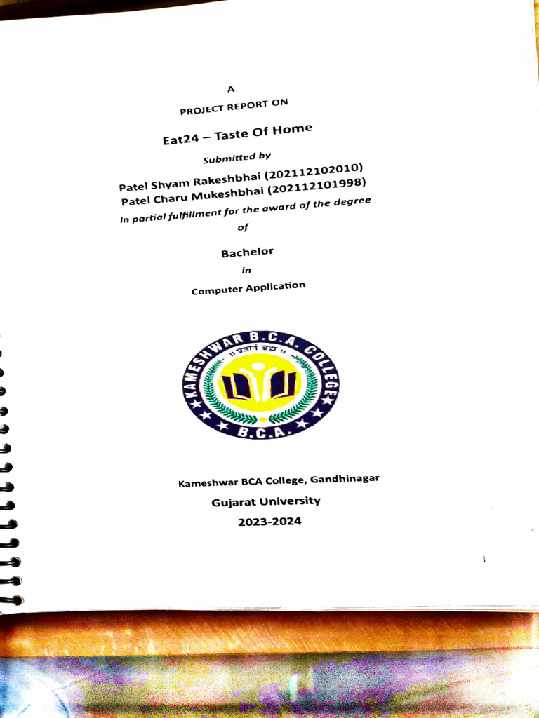 Project Document Demo | PDF