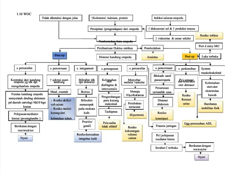 PDF Woc Kolelitiasis - Compress | PDF