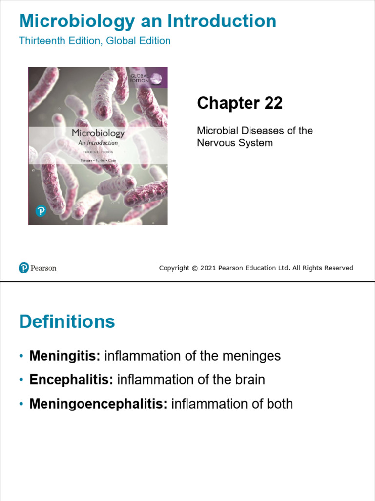 Ch 22 Modified | PDF