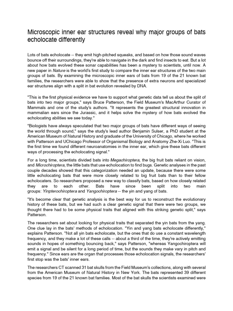 R - Microscopic Inner Ear Structures Reveal Why Major Groups of Bats ...