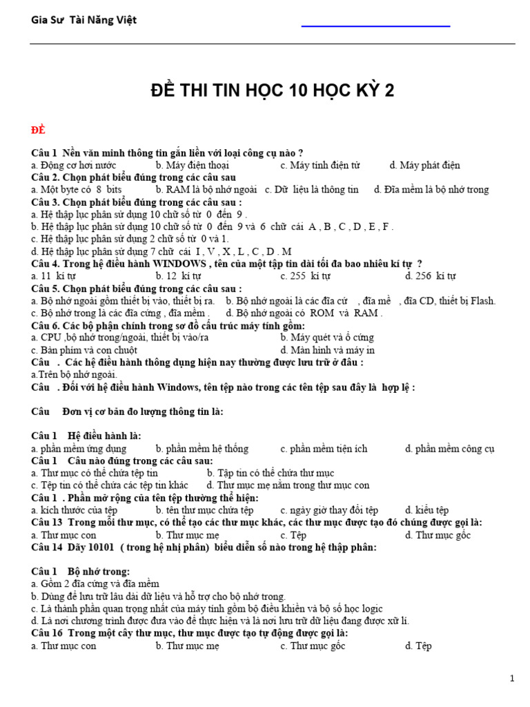 De Thi Tin Hoc 10 Hoc Ky 2 8 | PDF