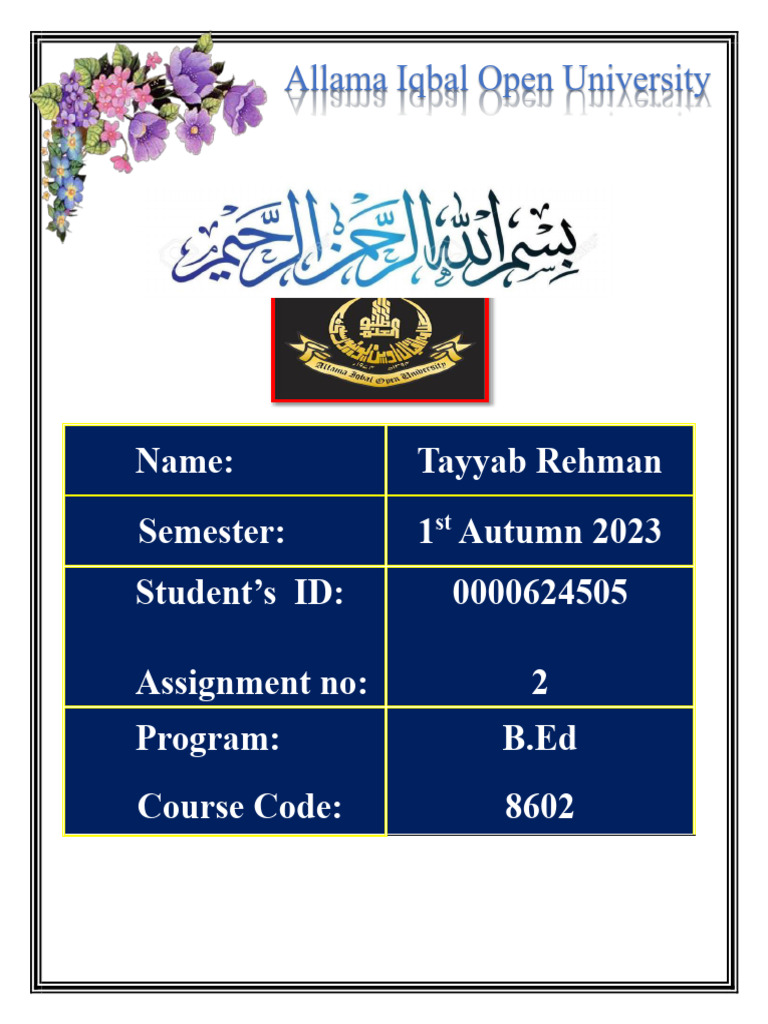 8602 Tayyab Rehman 2nd Assignment | PDF