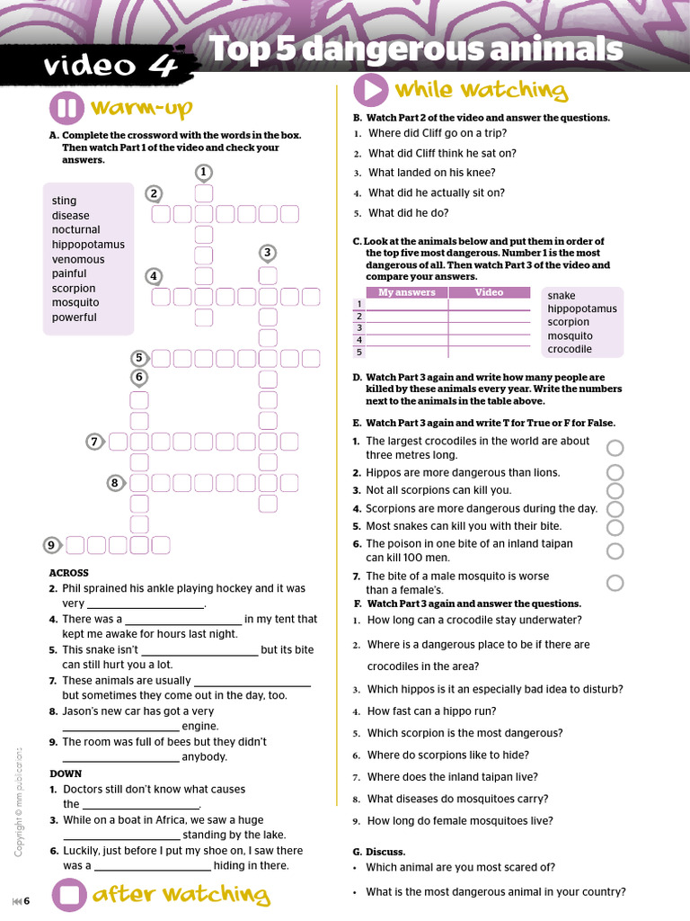 Switch On Worksheets 3 Video 4 | PDF