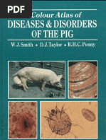 Osteology of The Goat | PDF | Vertebra | Vertebral Column