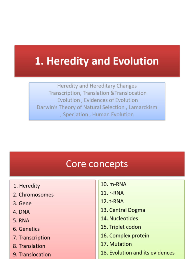 Heredity and Evolution Overview | PDF | Translation (Biology ...