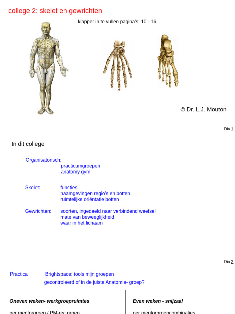 02 BW Skelet en Gewricht 2324 | PDF