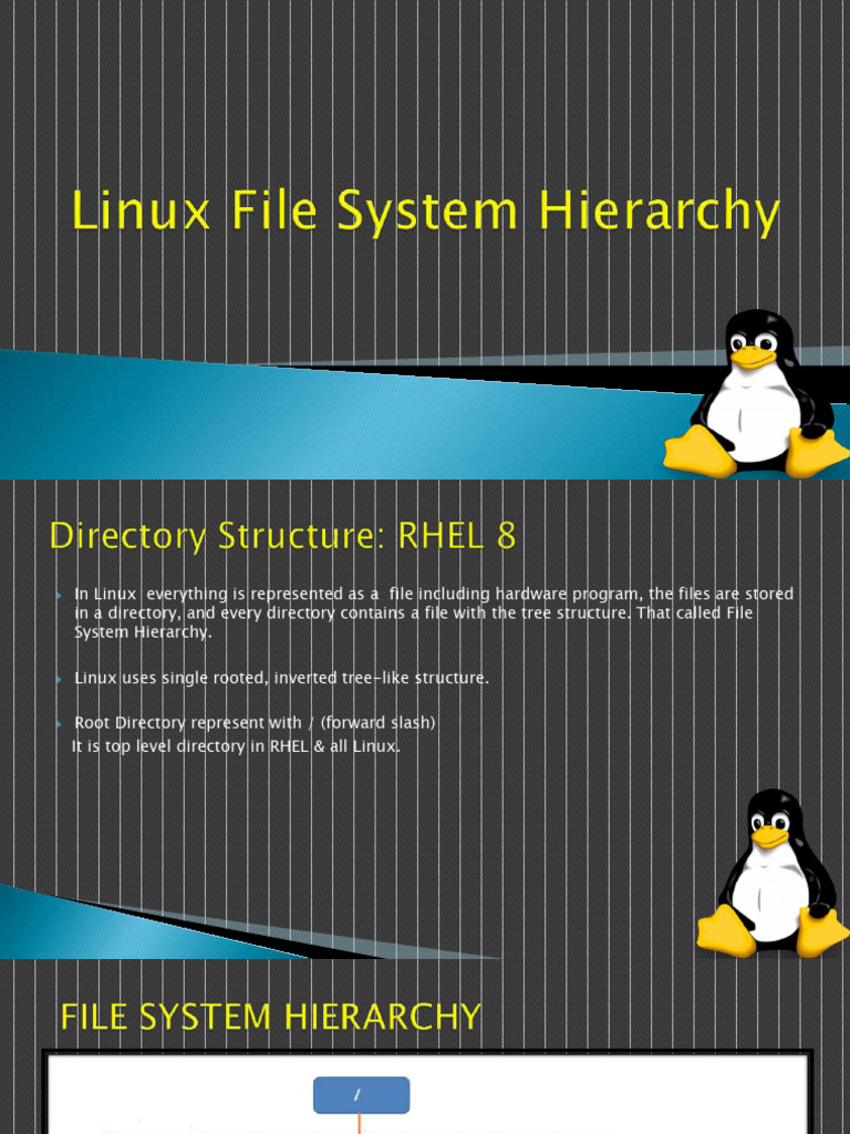 File System Hierarchy | PDF