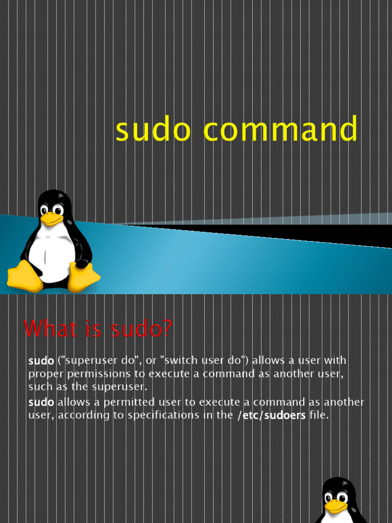 Sudo Command | PDF