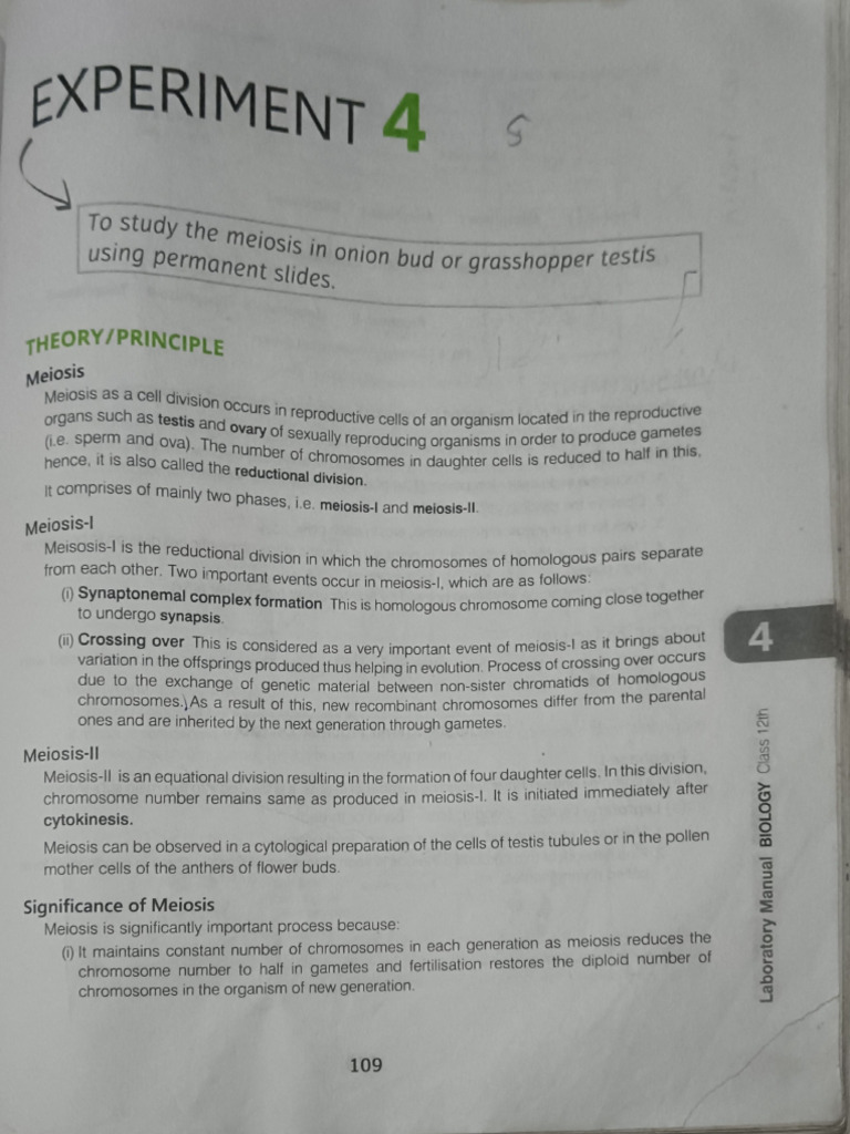 Experiment 4 Spotting | PDF