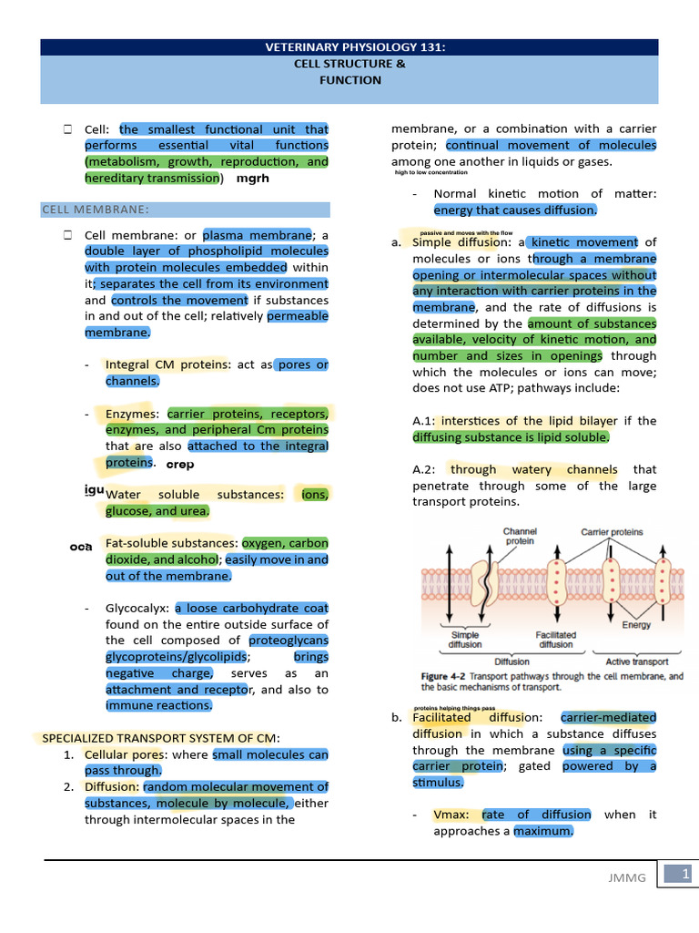 V. Physio 131. 2. Cell Strcuture and Function | PDF
