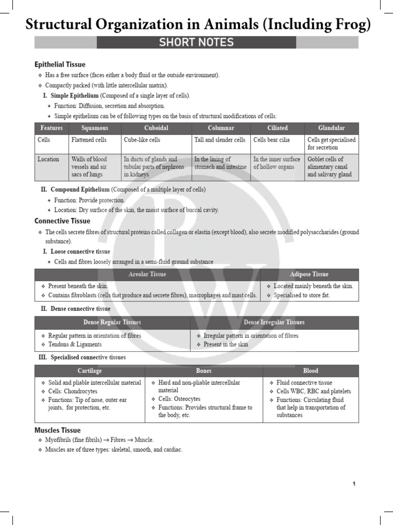 01 - Structural Organization in Animals (Including Frog) | PDF