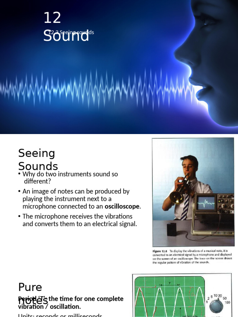 12.3 Seeing Sounds | PDF