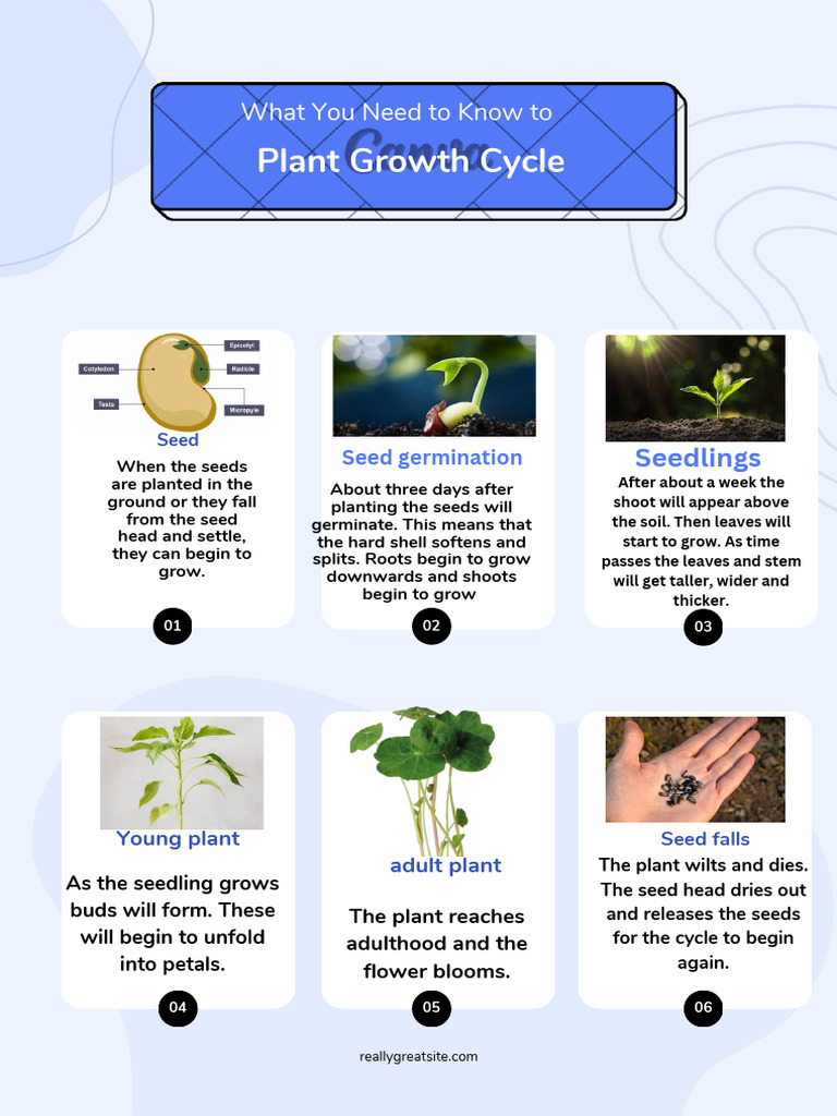 Blue Simple Tips To Create Successful Product Poster | PDF