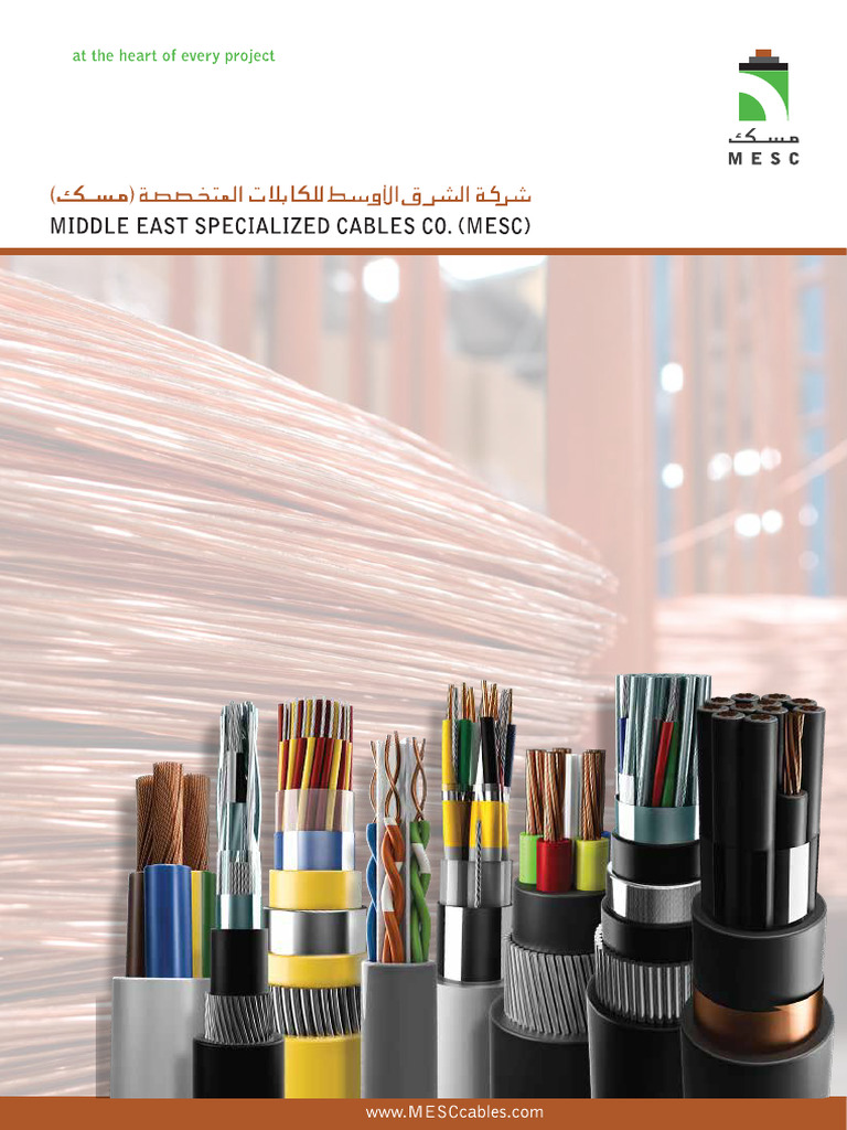 1-MESC Company Profile | PDF