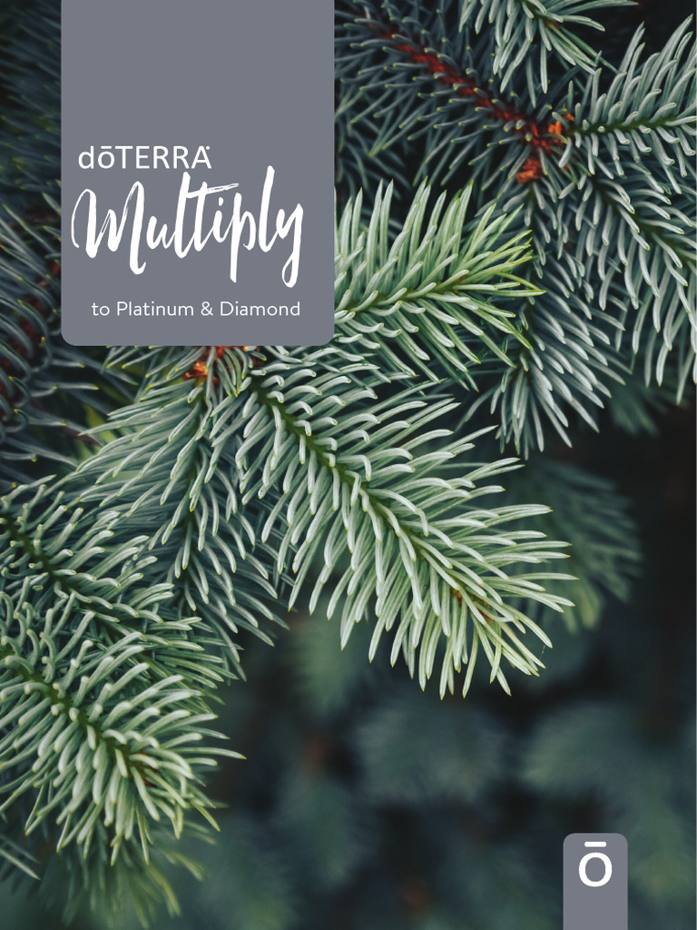 Multiply Guide | PDF