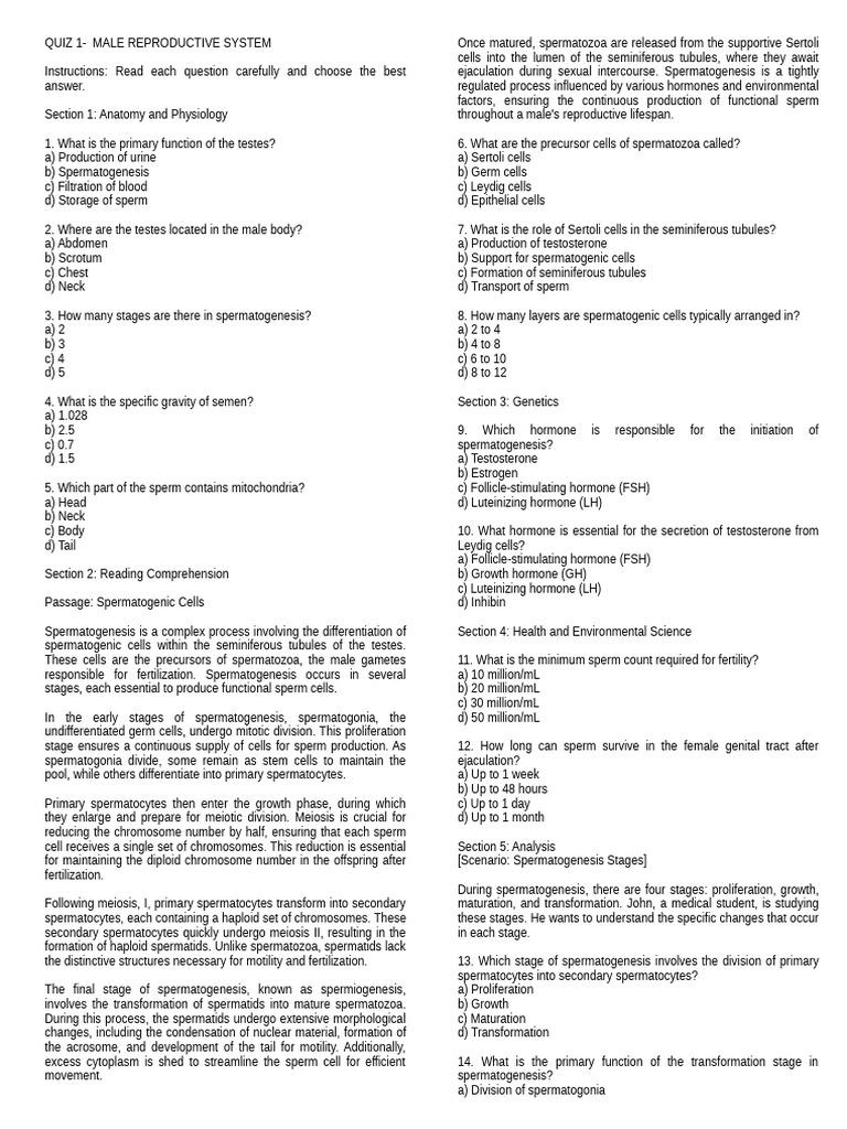 Quiz 1 Male Reproductive System 23 24 | PDF
