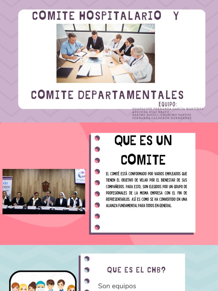 Comite Departamental | PDF