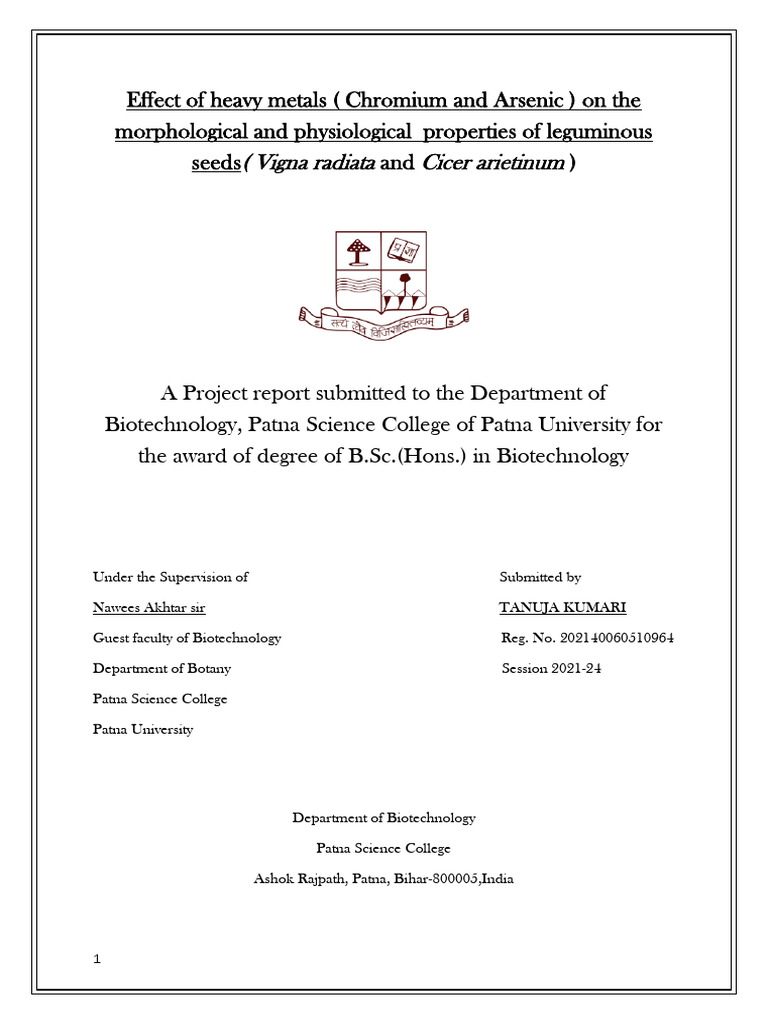 Dissertation final | PDF