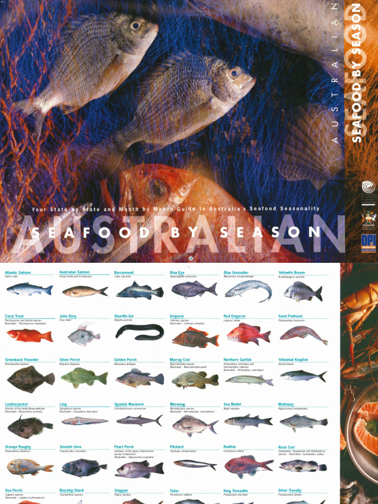 Australian Seafood by Season Calendar | PDF