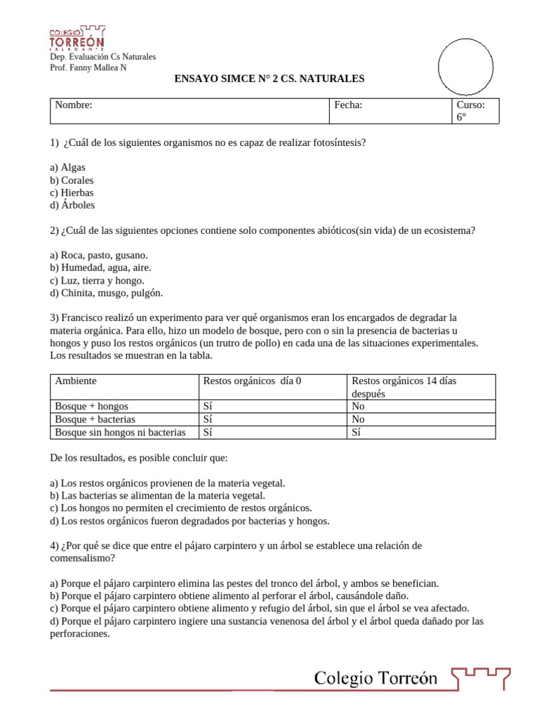 Plantilla SIMCE N°2 | PDF