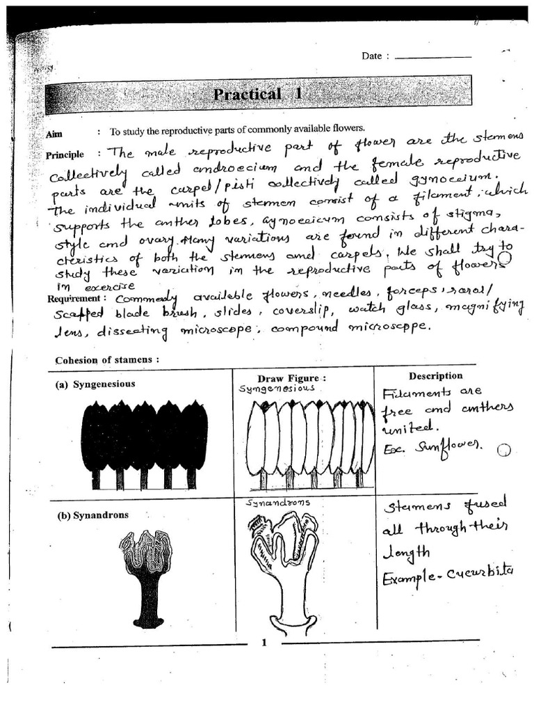 GSEB 12th Biology Journal - Eng | PDF