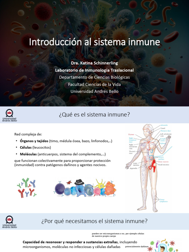 1_Introducci-C3-B3n-al-sistema-inmune_MED257-2024 | PDF