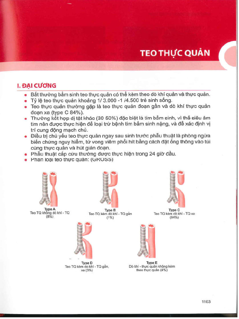 NgoaÌ£i toÌ Ì ng quaÌ t - Nhi | PDF