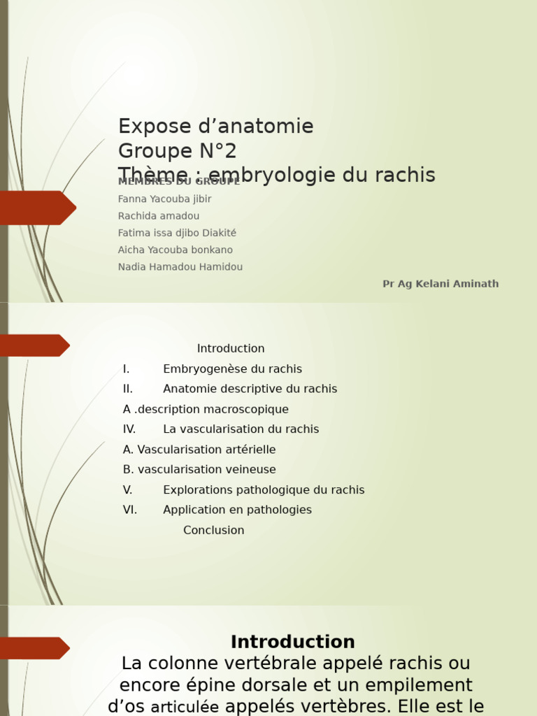 Expose D'anatomie | PDF