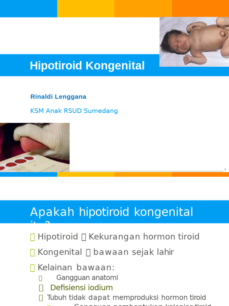 SHK, Presentasi Rinaldi 2023 | PDF