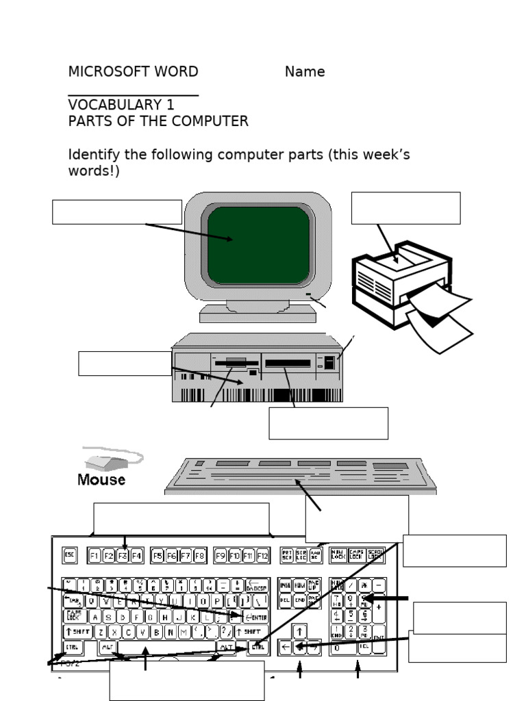 Vocab 1 Worksheet Parts | PDF