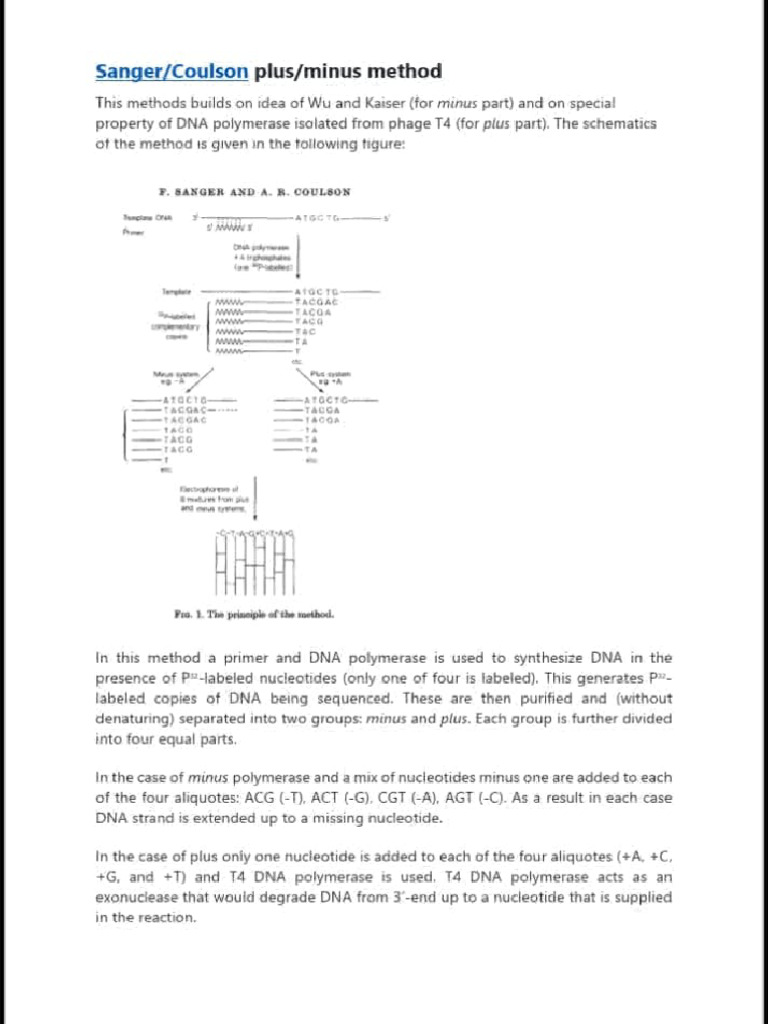 Sanger Sequencing | PDF