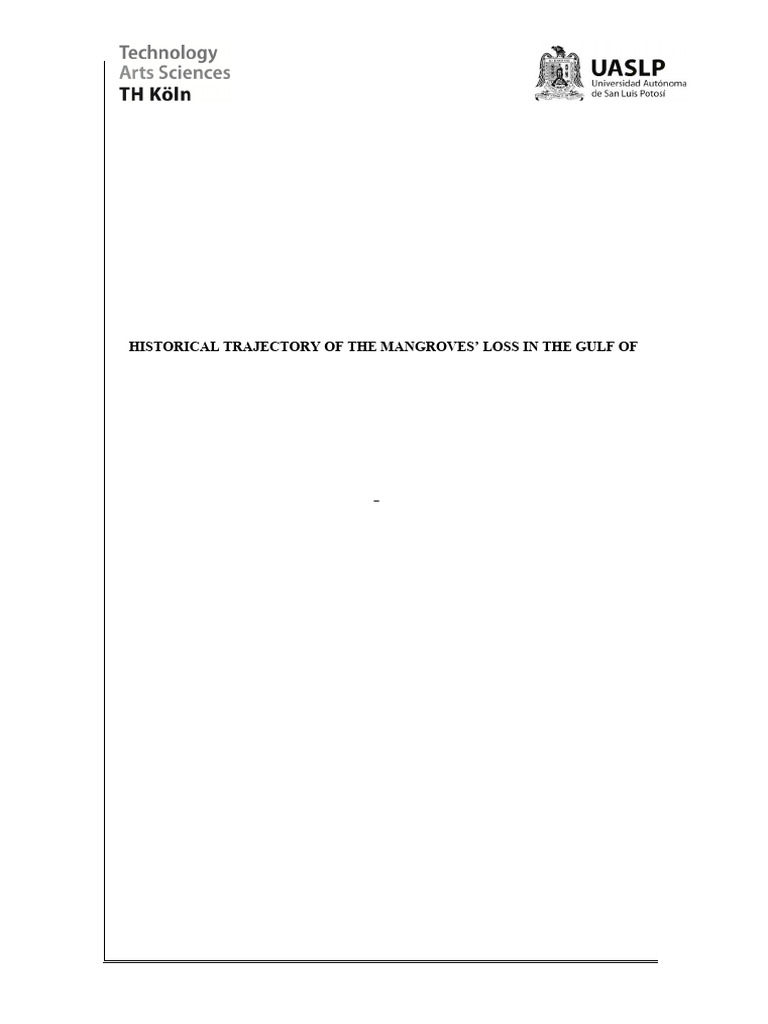 CALLA Master-Thesis Final | PDF