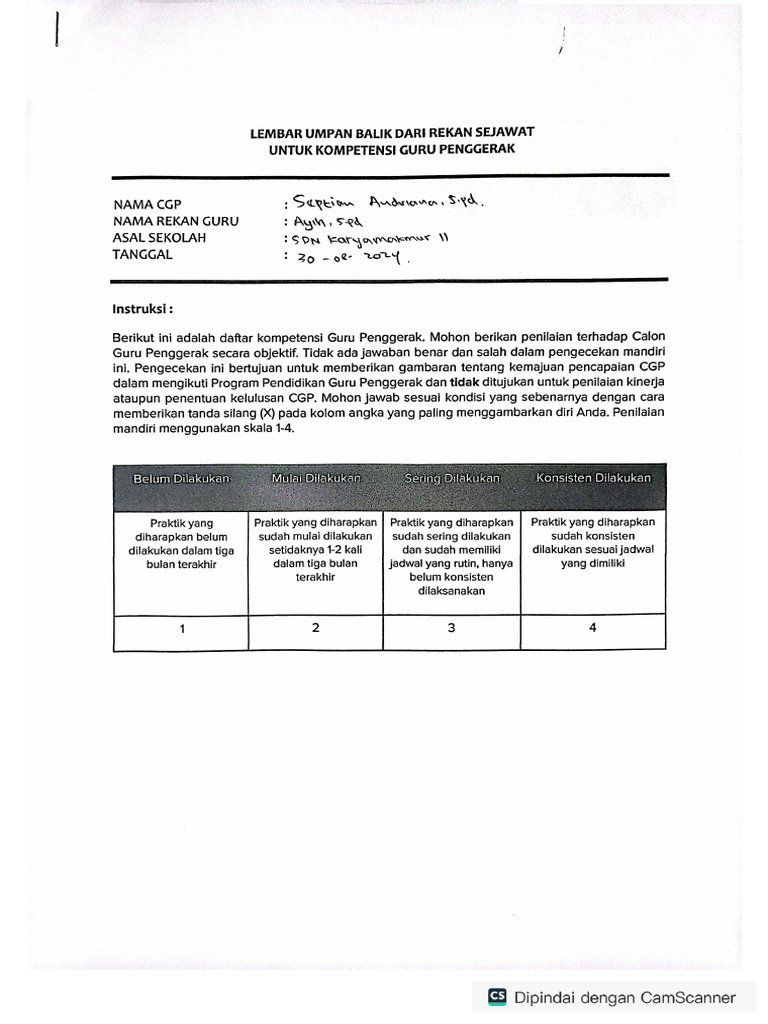 Lembar Umpan Balik Rekan Sejawat PI2 | PDF