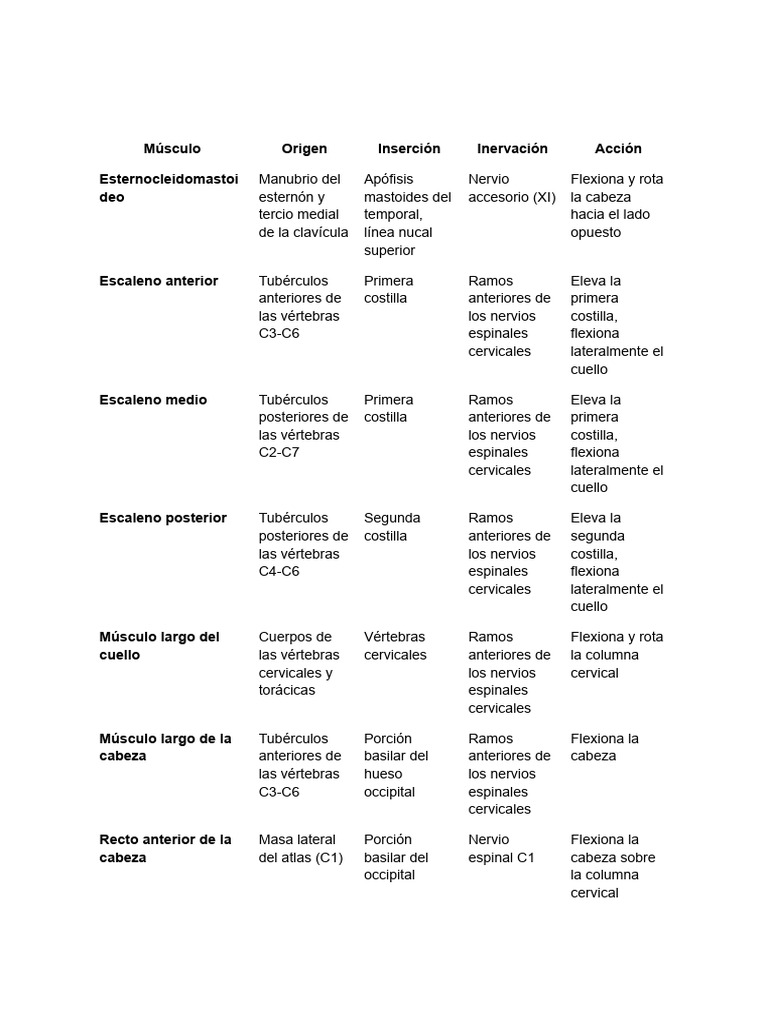 Músculos Zona Cervical | PDF