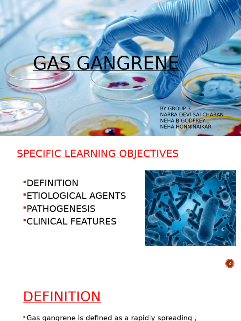Gas Gangrene Modified | PDF