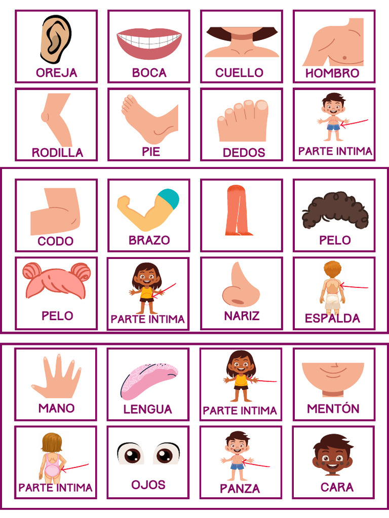 BINGO - PARTES DEL CUERPO | PDF