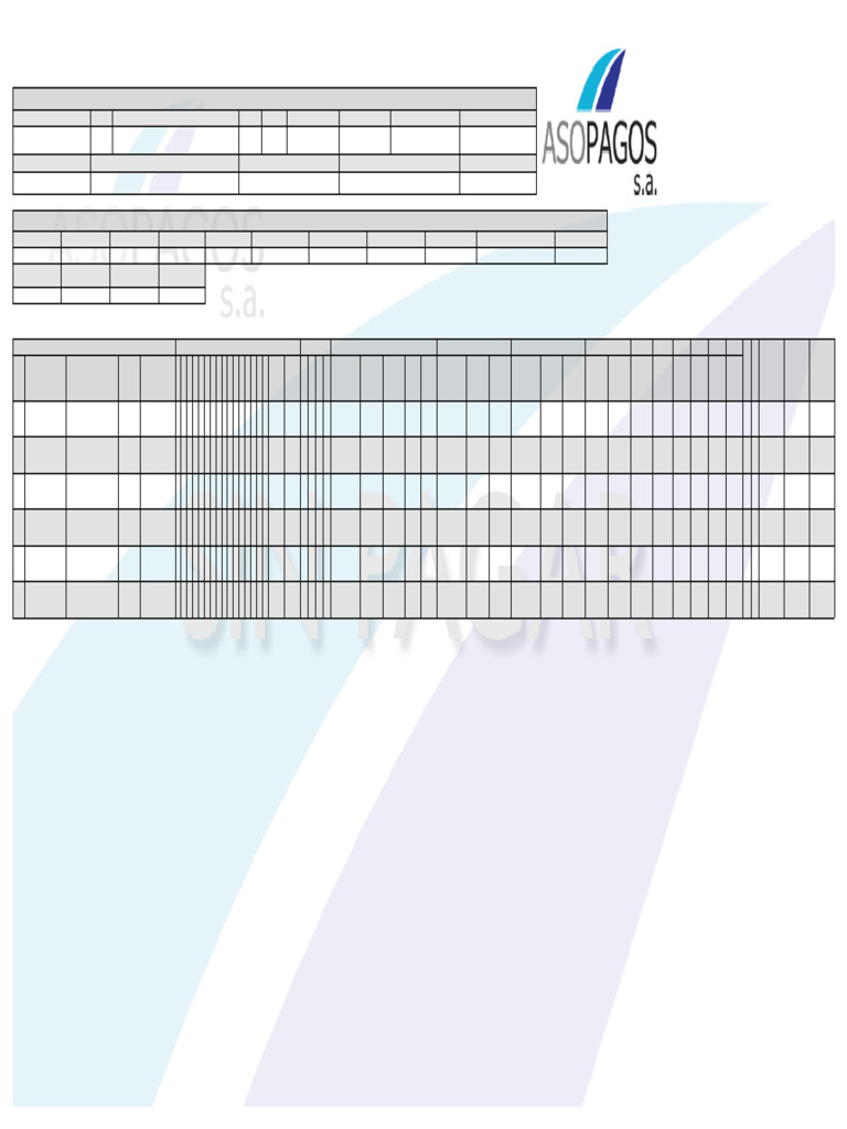 DetallePlanilla 30824751 2024 08 E | PDF