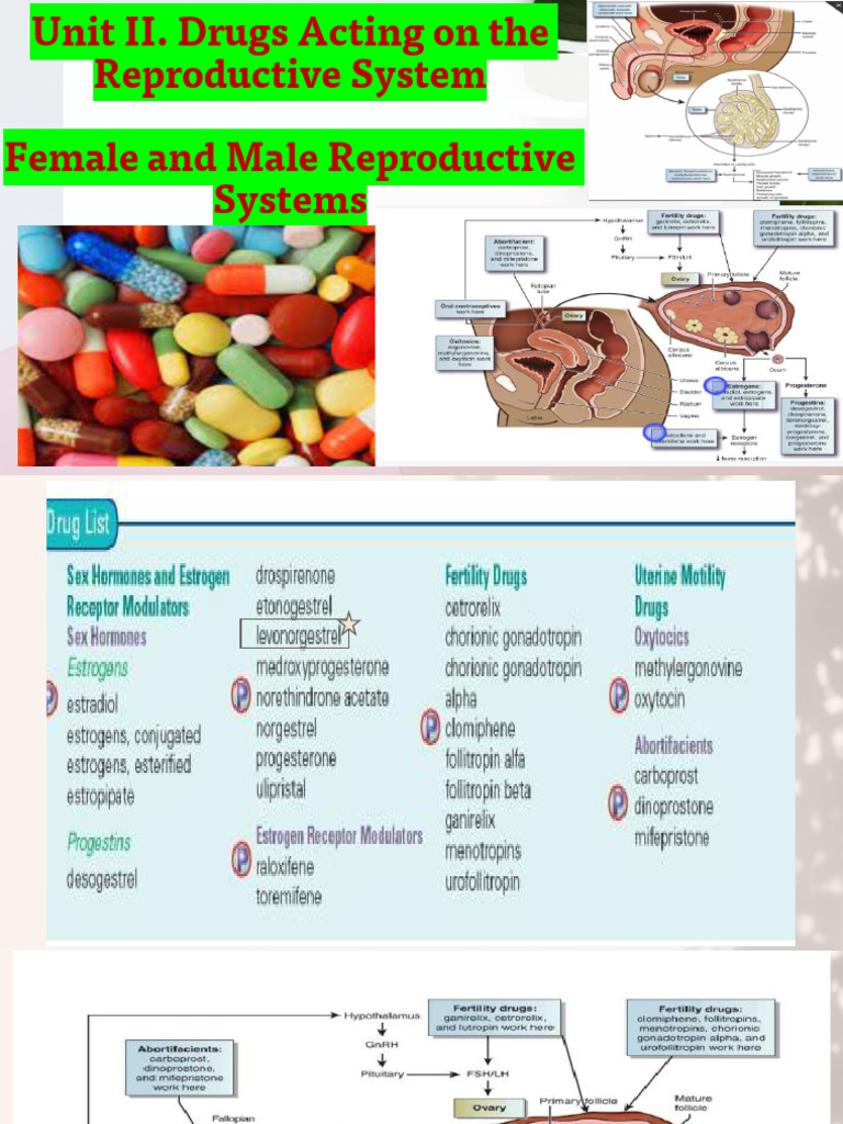 Unit 11. Drugs Affecting The Reproductive System - Students | PDF
