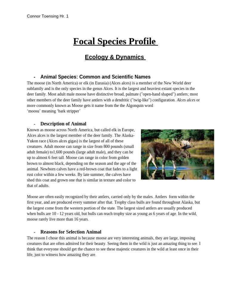 Focal Species Profile | PDF